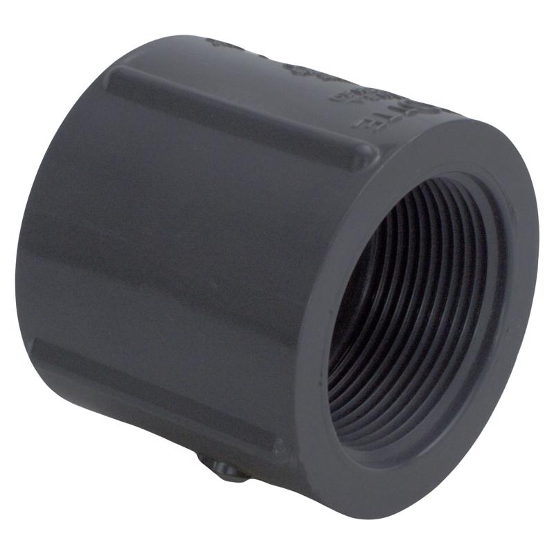 CHARLOTTE PIPE Charlotte Pipe Schedule 80 1 in. FPT X 1 in. D FPT PVC ...