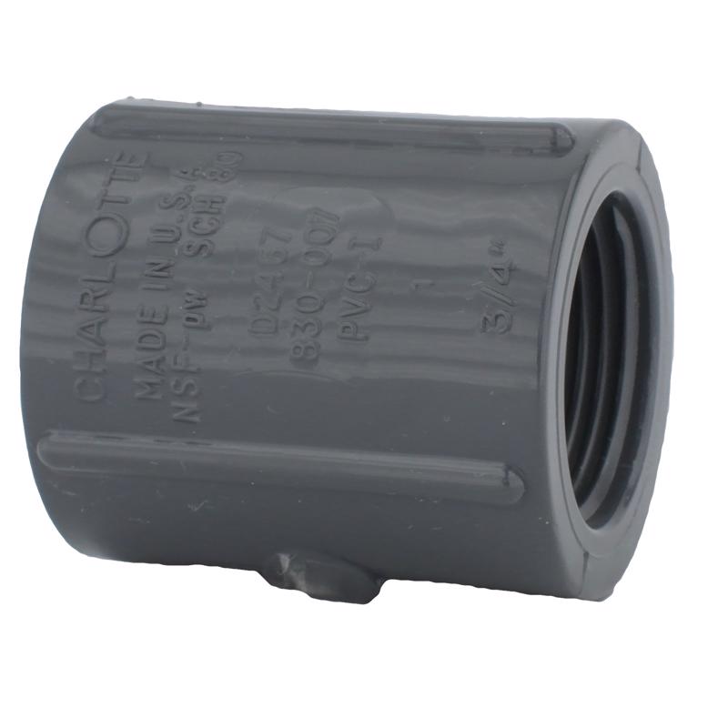 CHARLOTTE PIPE Charlotte Pipe Schedule 80 1/2 in. FPT X 1/2 in. D FPT PVC Coupling 1 pk | Ranch ...