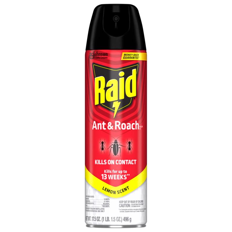 Raid Insect Killer Aerosol 17.5 oz | Ranch and Home