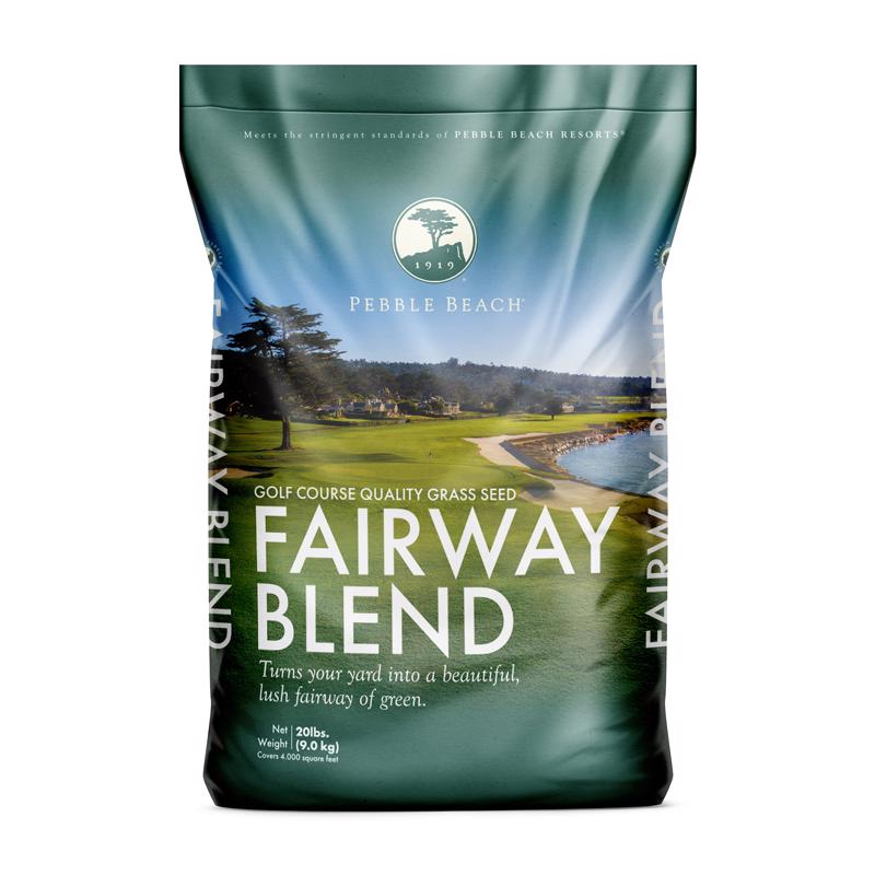 BARENBRUG USA Barenbrug Pebble Beach Perennial Ryegrass Partial Shade ...